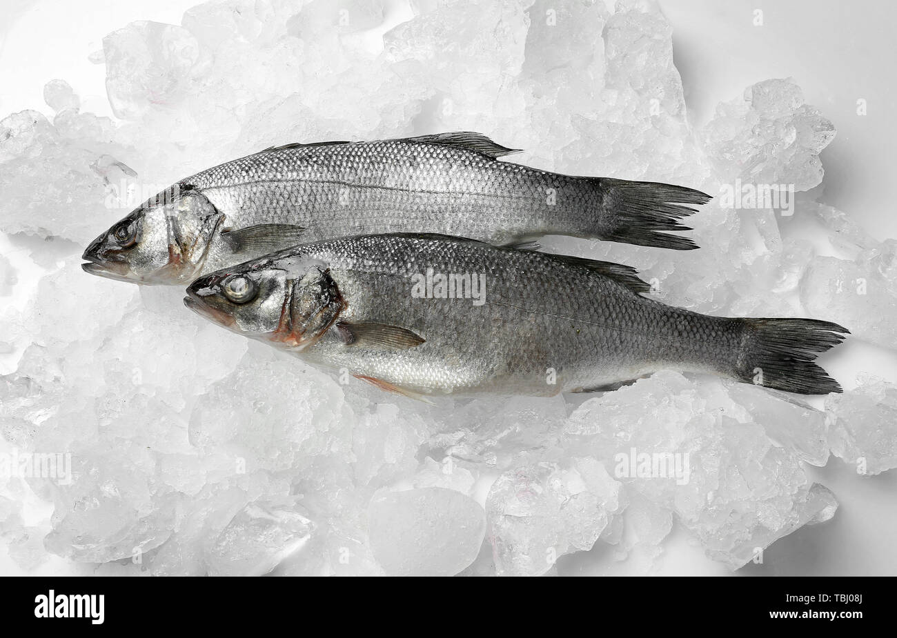 Fresh fish with ice on white background Stock Photo - Alamy