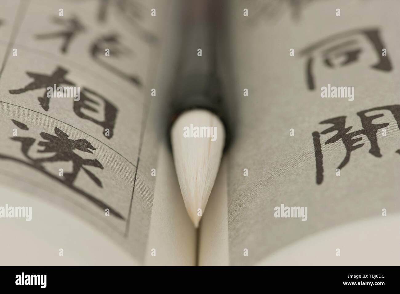 Ancient chinese book calligraphy hi-res stock photography and images ...