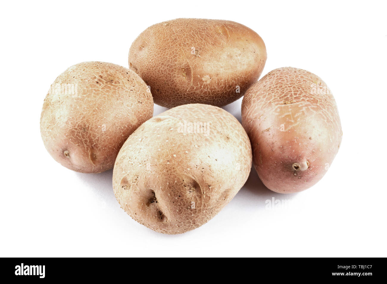 a bunch of clean potatoes isolated on white background. summer harvest ...
