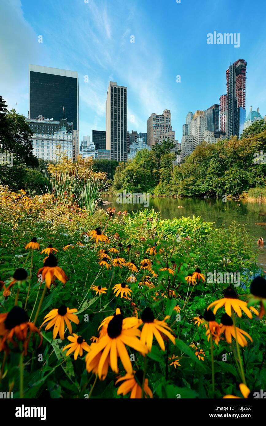 Central Park Spring flower with skyline in midtown Manhattan New York ...