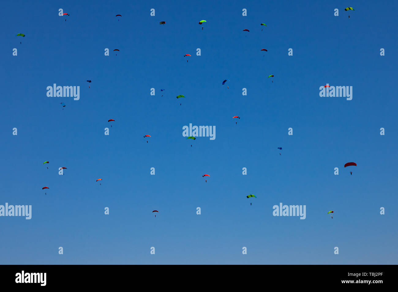 Many small paratroopers in the blue clear sky with multi-colored ...