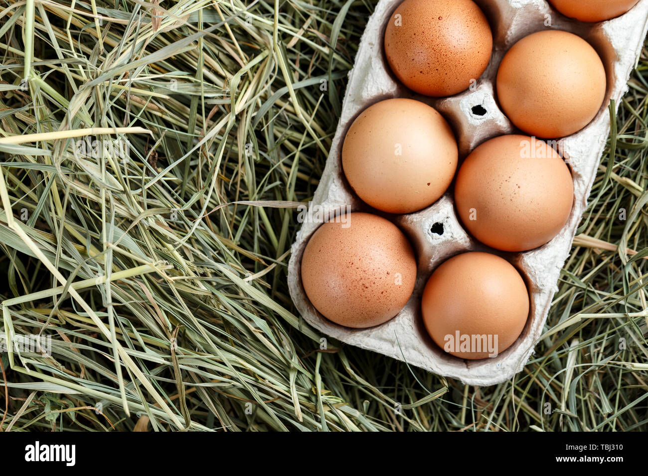 The lifestyle of the farm in the countryside, fresh eggs from the farm ...