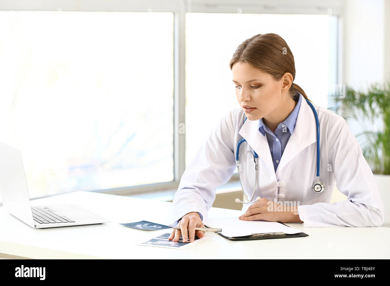 Young gynecologist working in her office Stock Photo - Alamy