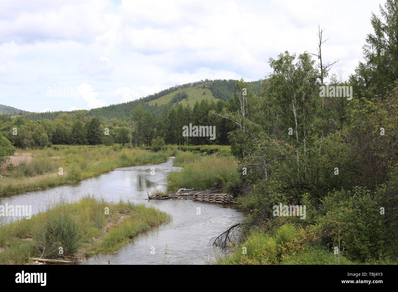 The mordaoga forest park hi-res stock photography and images - Alamy