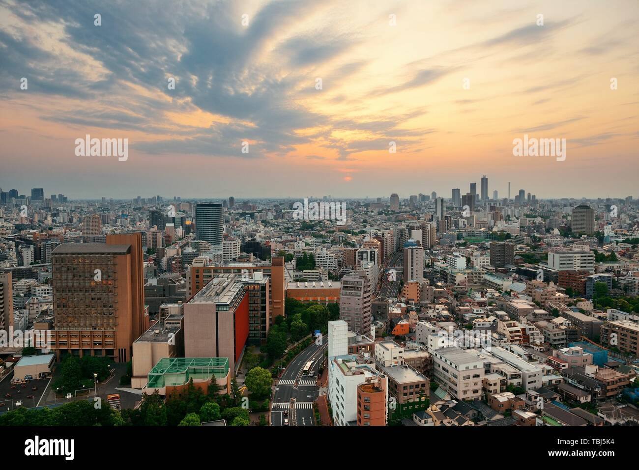 Tokyo urban skyline rooftop sunset view, Japan Stock Photo - Alamy