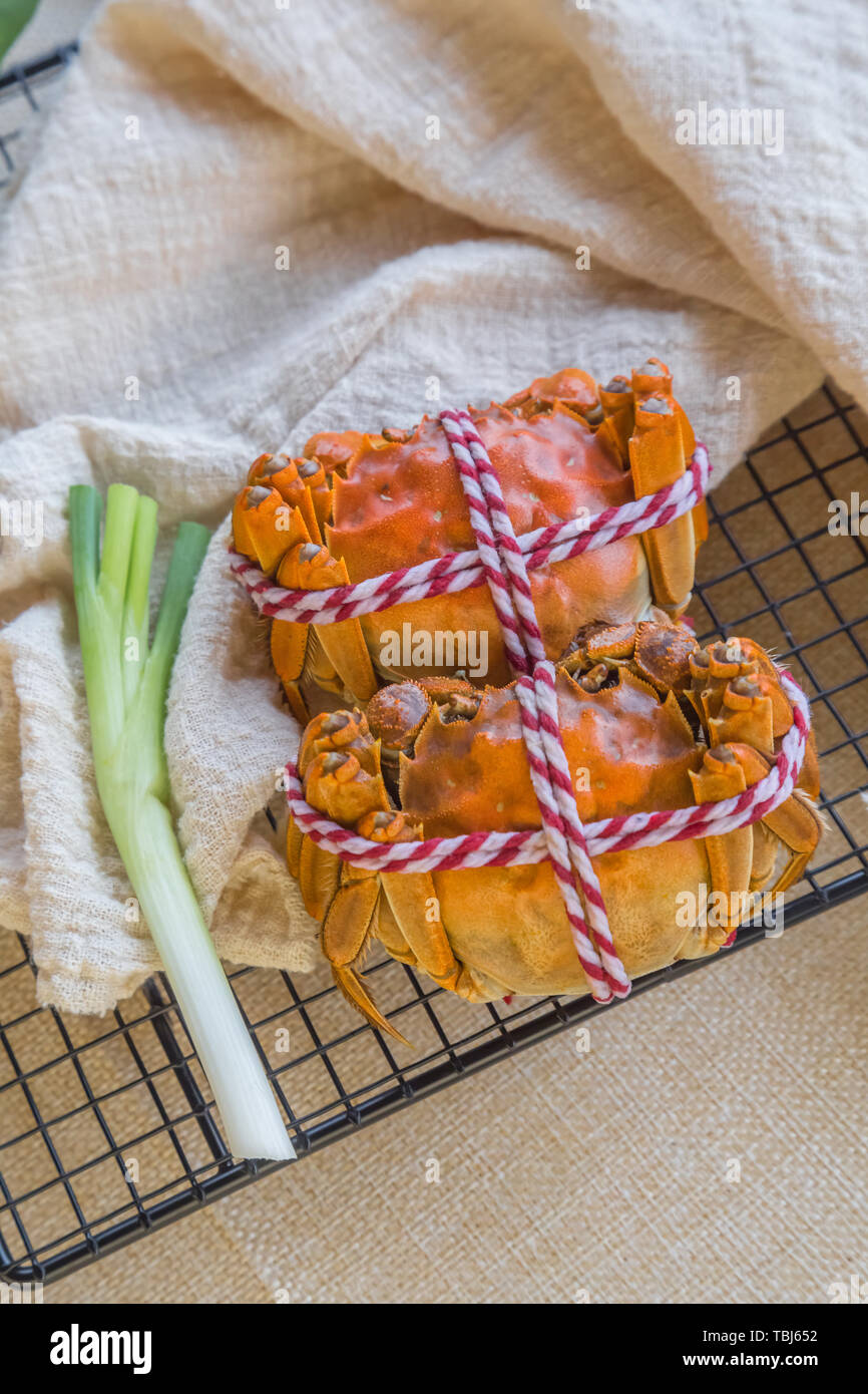 Hairy stone crab hi-res stock photography and images - Alamy