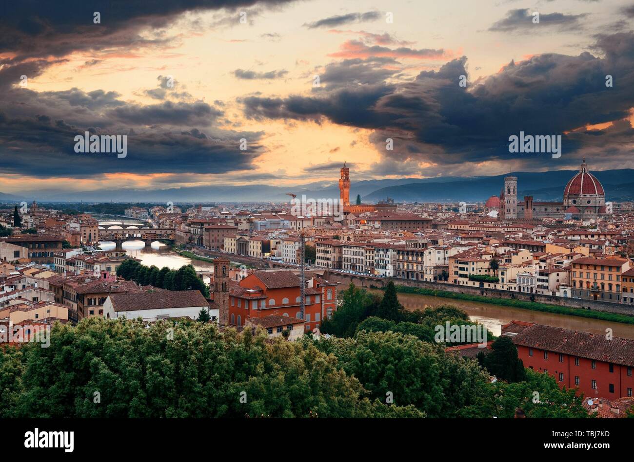 Florence skyline viewed from hi-res stock photography and images - Alamy
