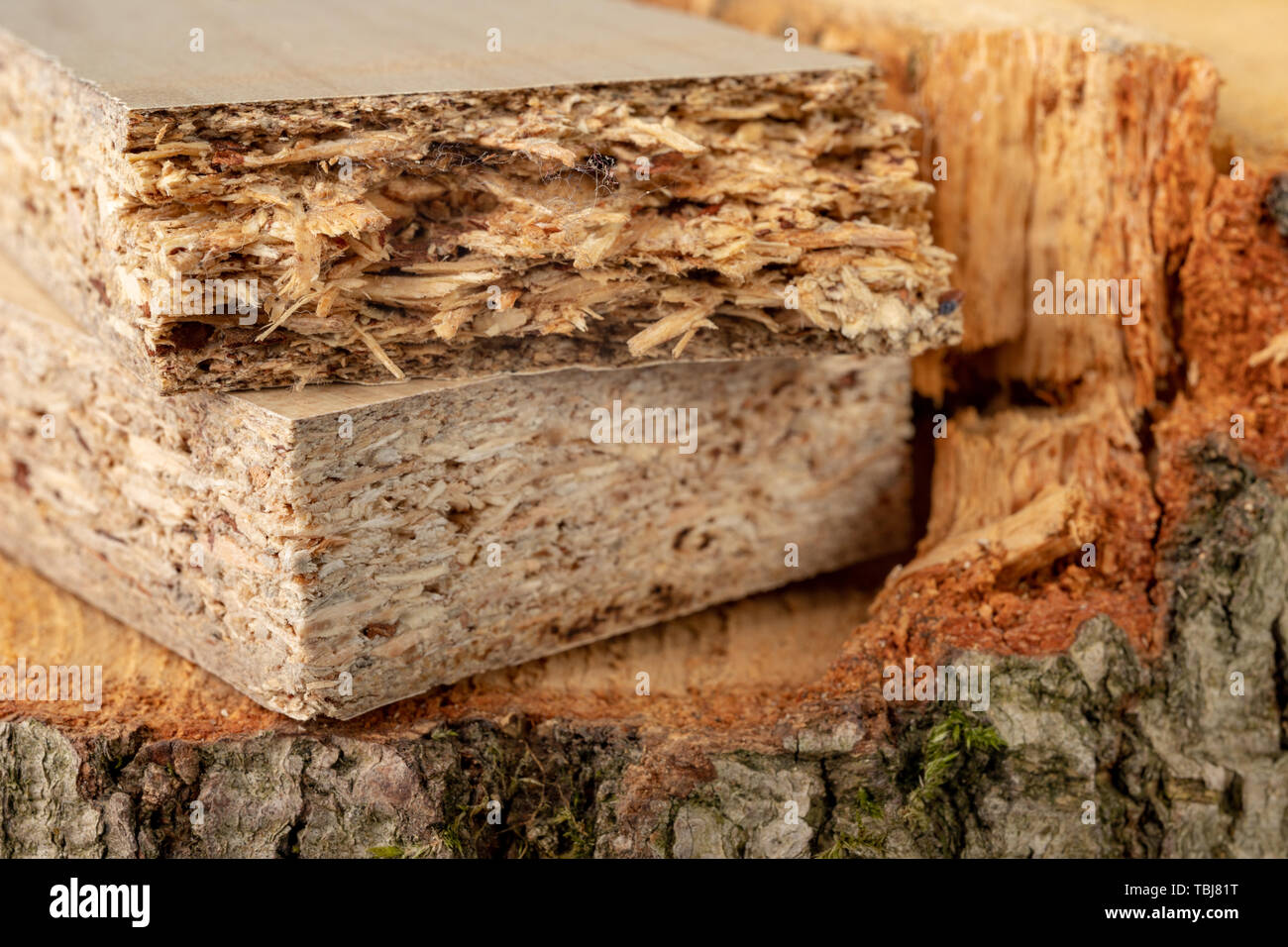 Particleboard on the trunk of raw wood. Materials for carpenters to ...
