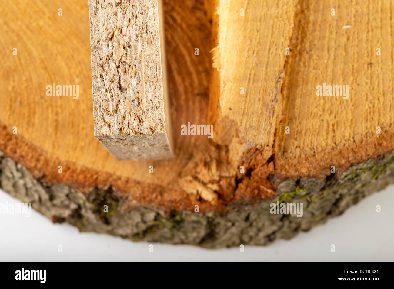 Particleboard on the trunk of raw wood. Materials for carpenters to ...