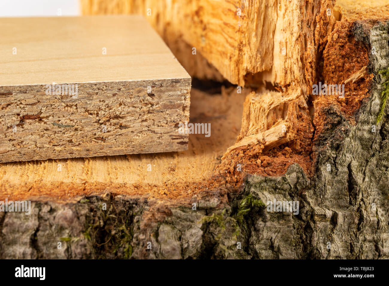 Particleboard on the trunk of raw wood. Materials for carpenters to ...