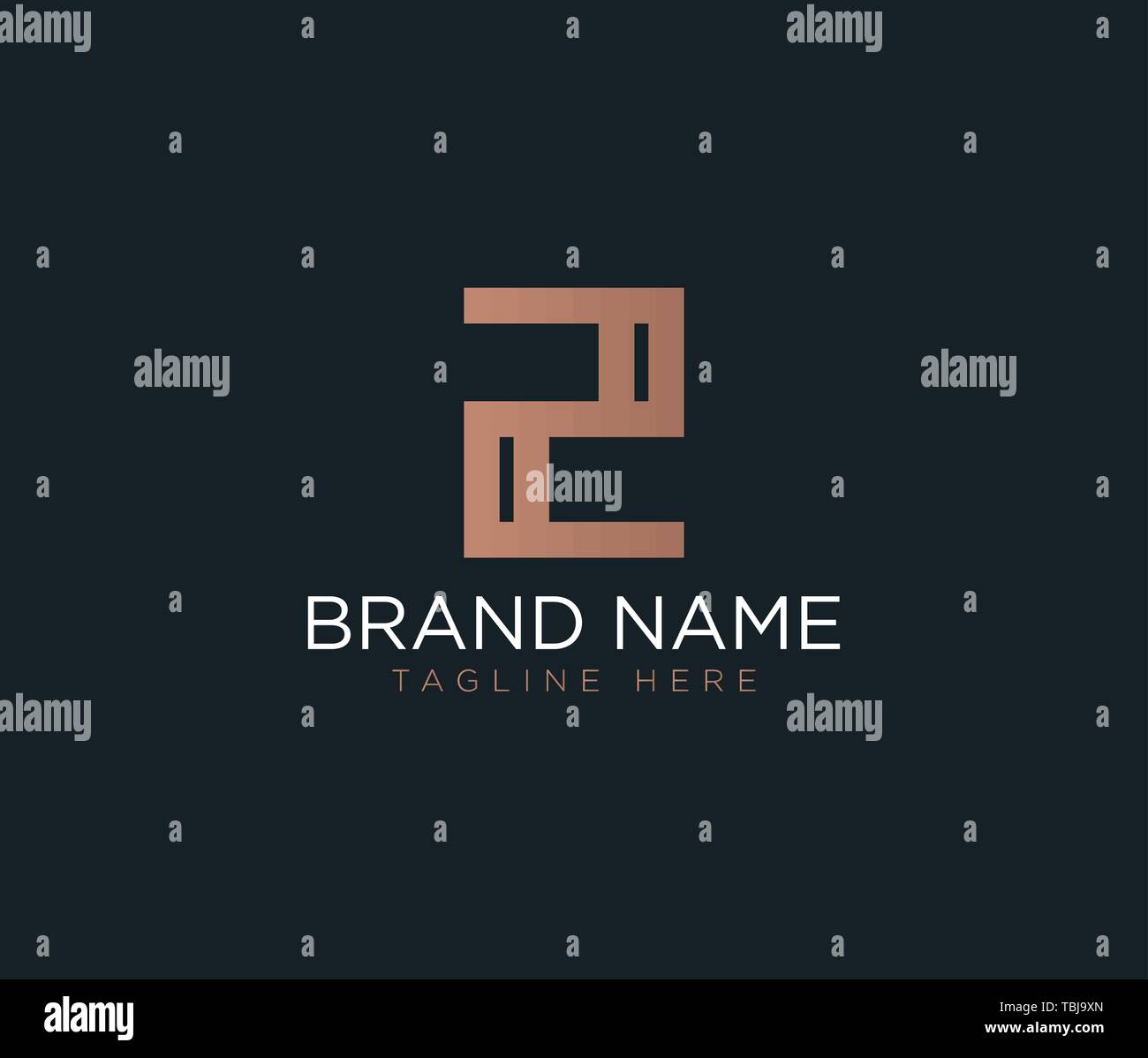 Premium Z Letter Logo for luxury company branding Stock Vector Image ...