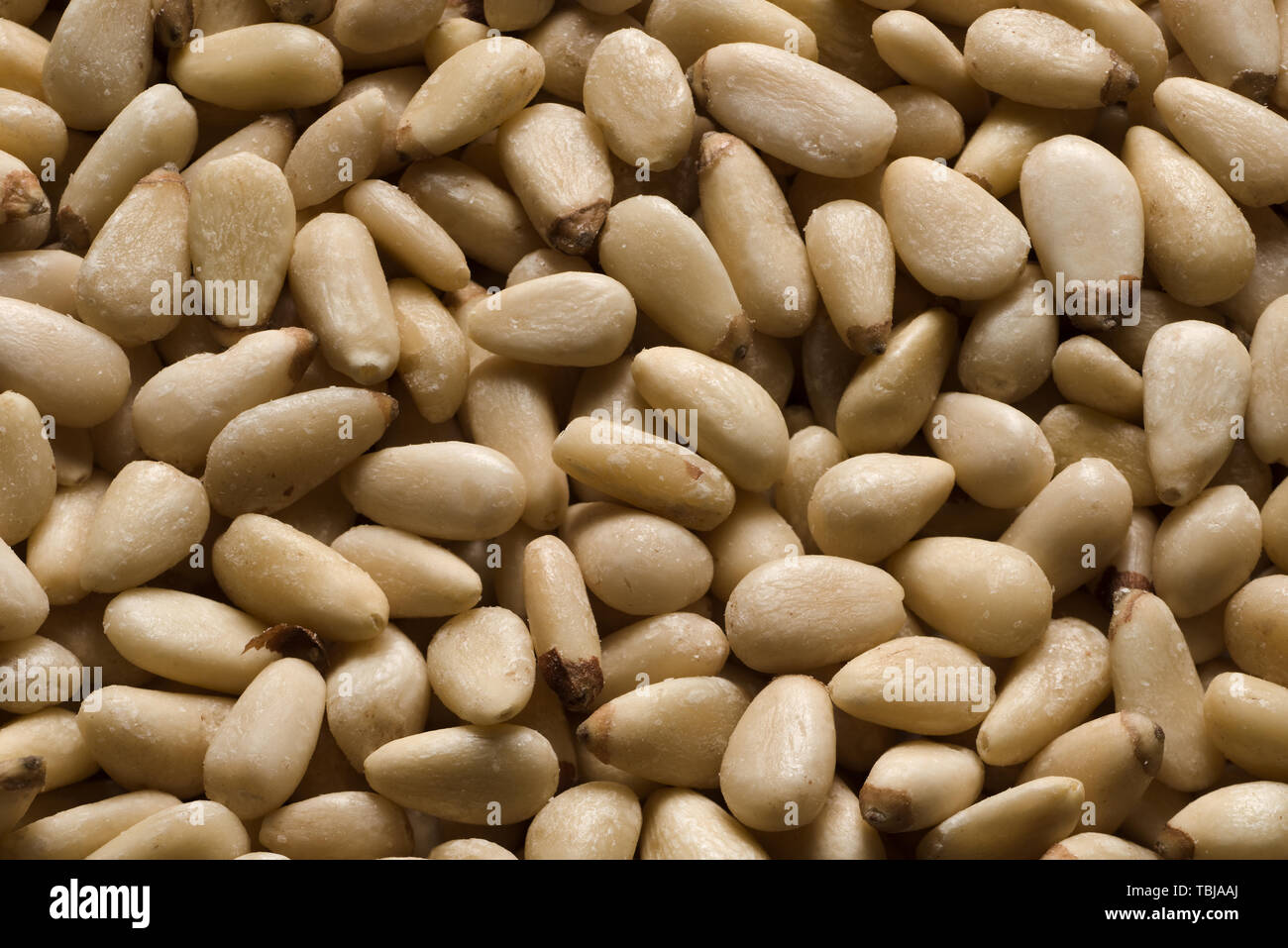 Pine pignon pignole kernels Stock Photo - Alamy