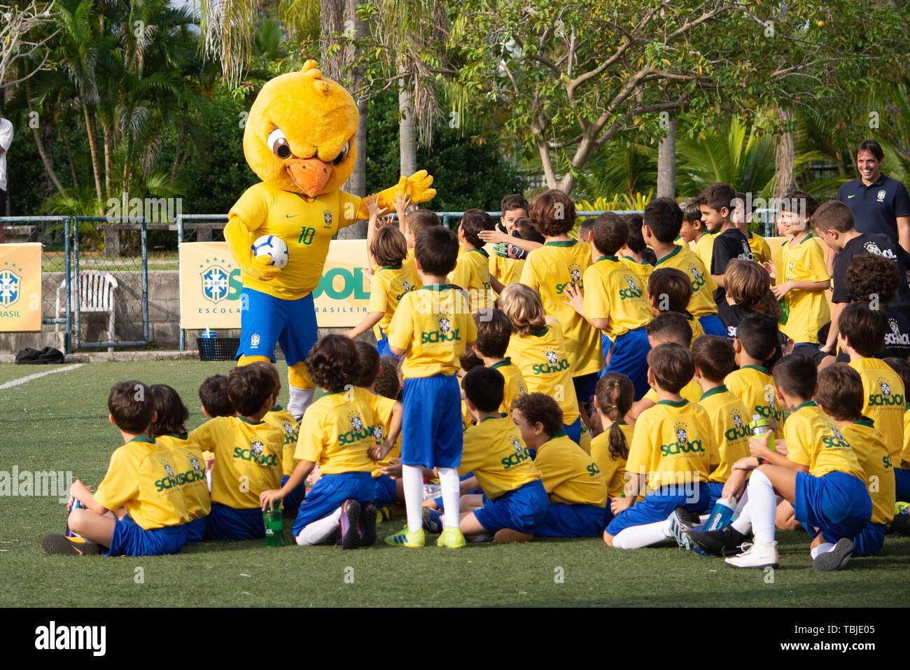 Rio De Janeiro, Brazil. 01st June, 2019. Canarinho, Mascot of the ...