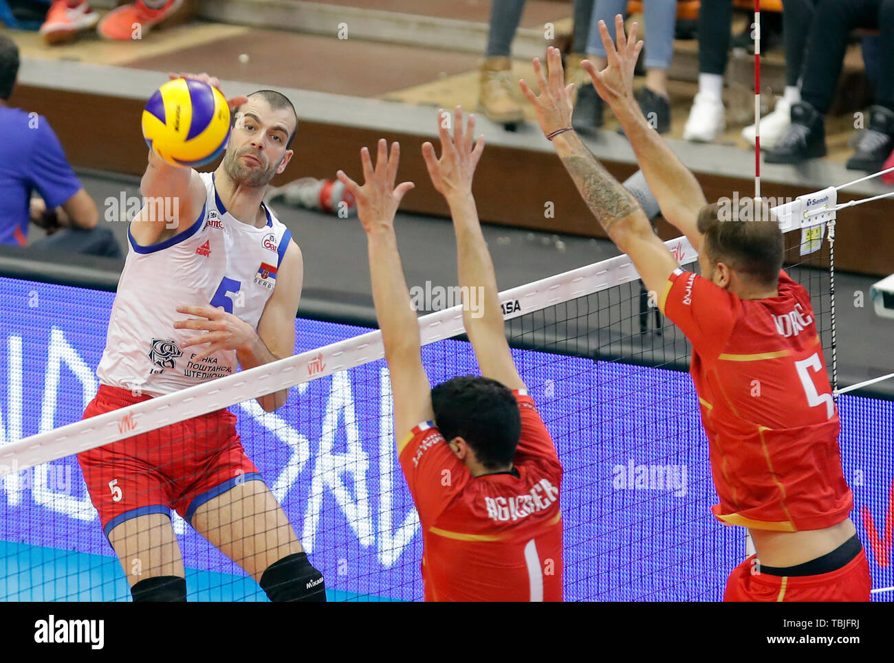 Lazar cirovic hi-res stock photography and images - Alamy