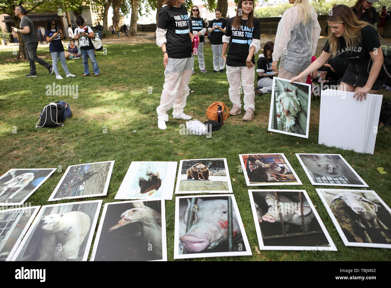 Static animal rights display hi-res stock photography and images - Alamy