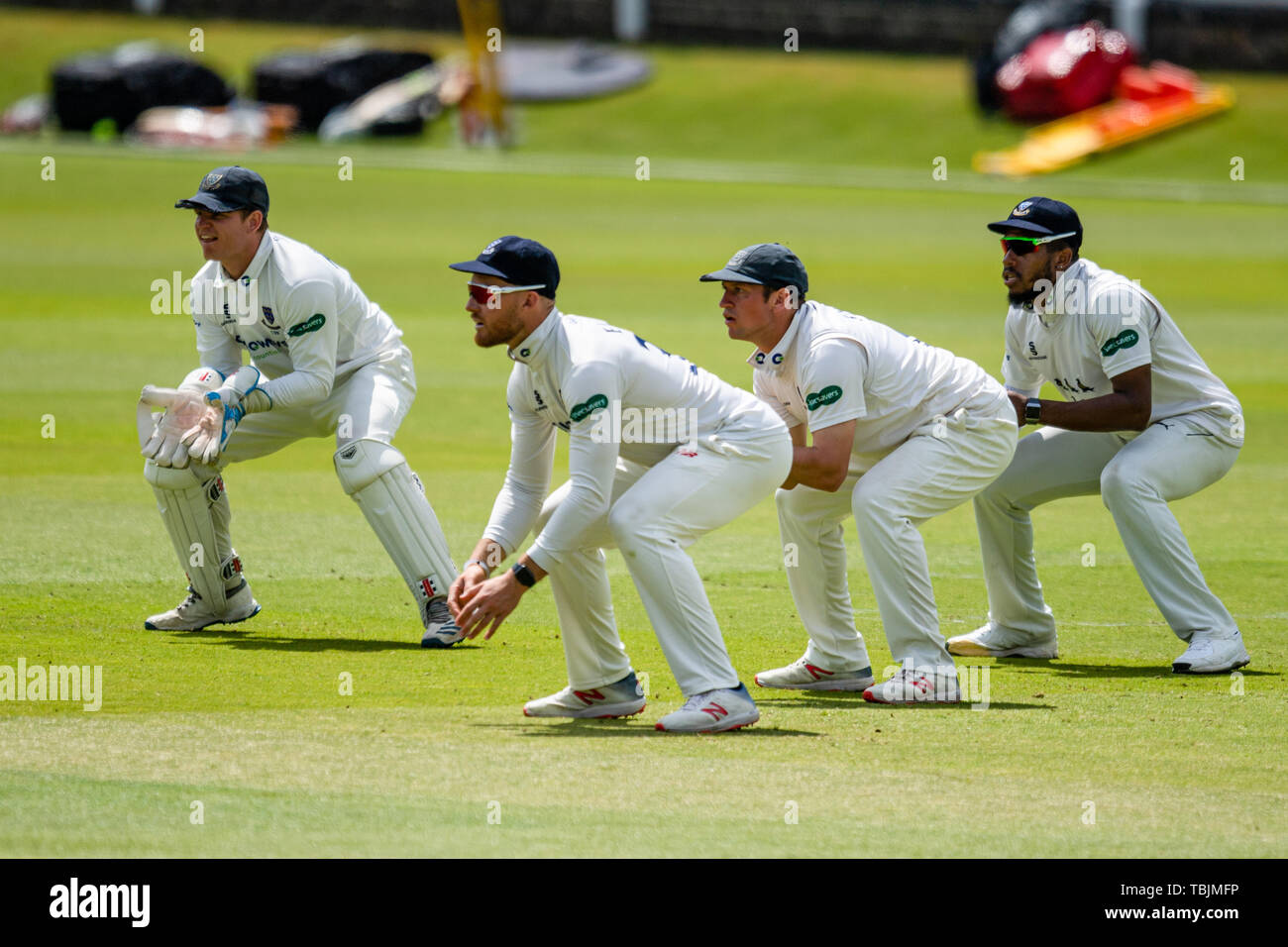 Harry finch hi-res stock photography and images - Alamy