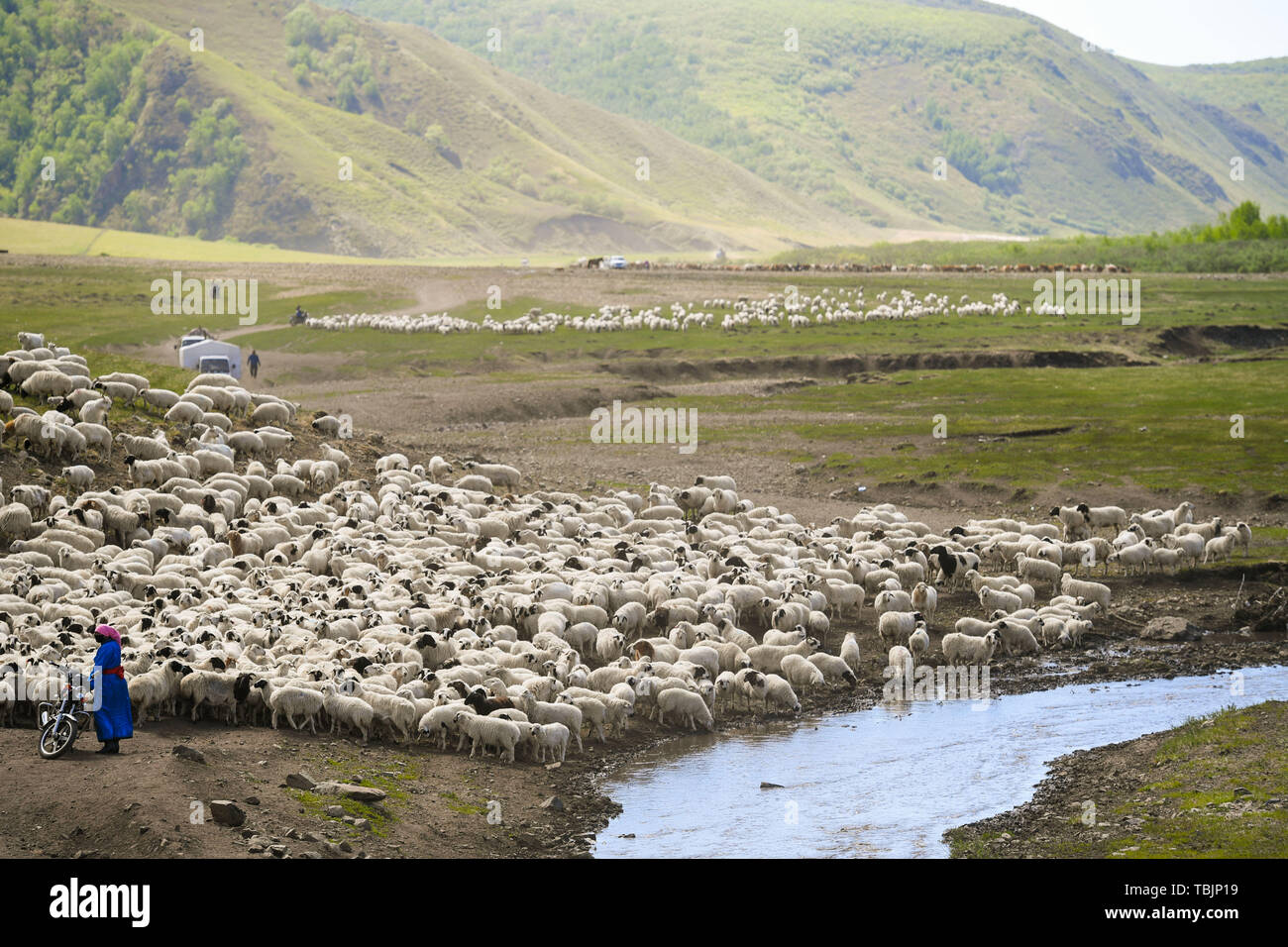 Horqin grassland hi-res stock photography and images - Alamy