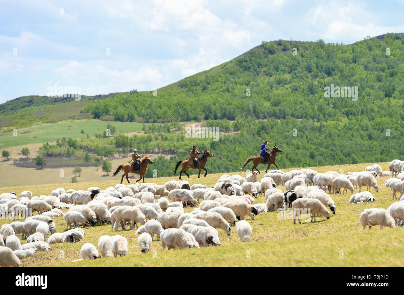 Horqin grassland hi-res stock photography and images - Alamy