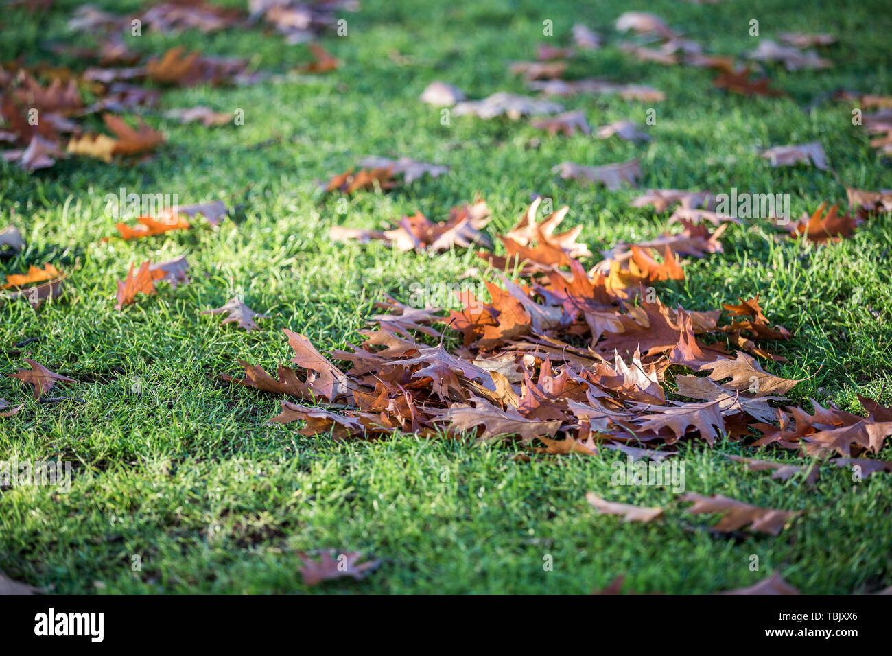 Grounding environment hi-res stock photography and images - Alamy