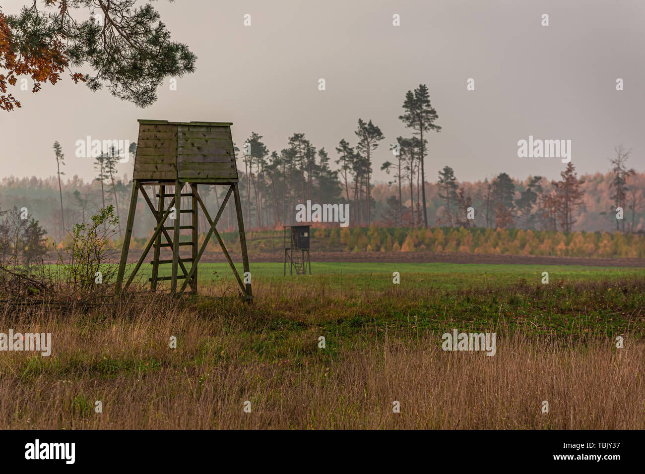 Log lookout tower hi-res stock photography and images - Alamy