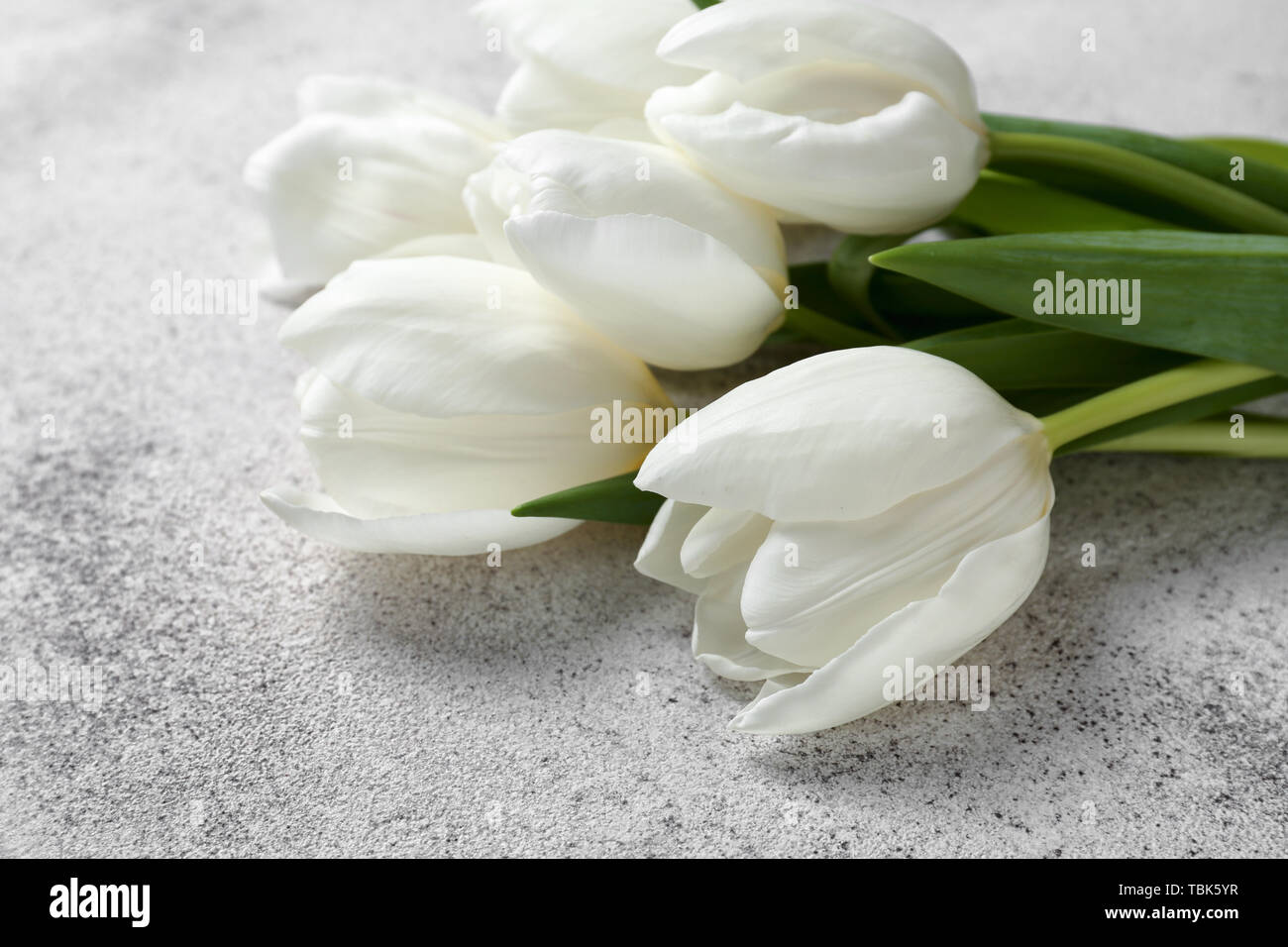 Beautiful tulip flowers on grey background Stock Photo - Alamy