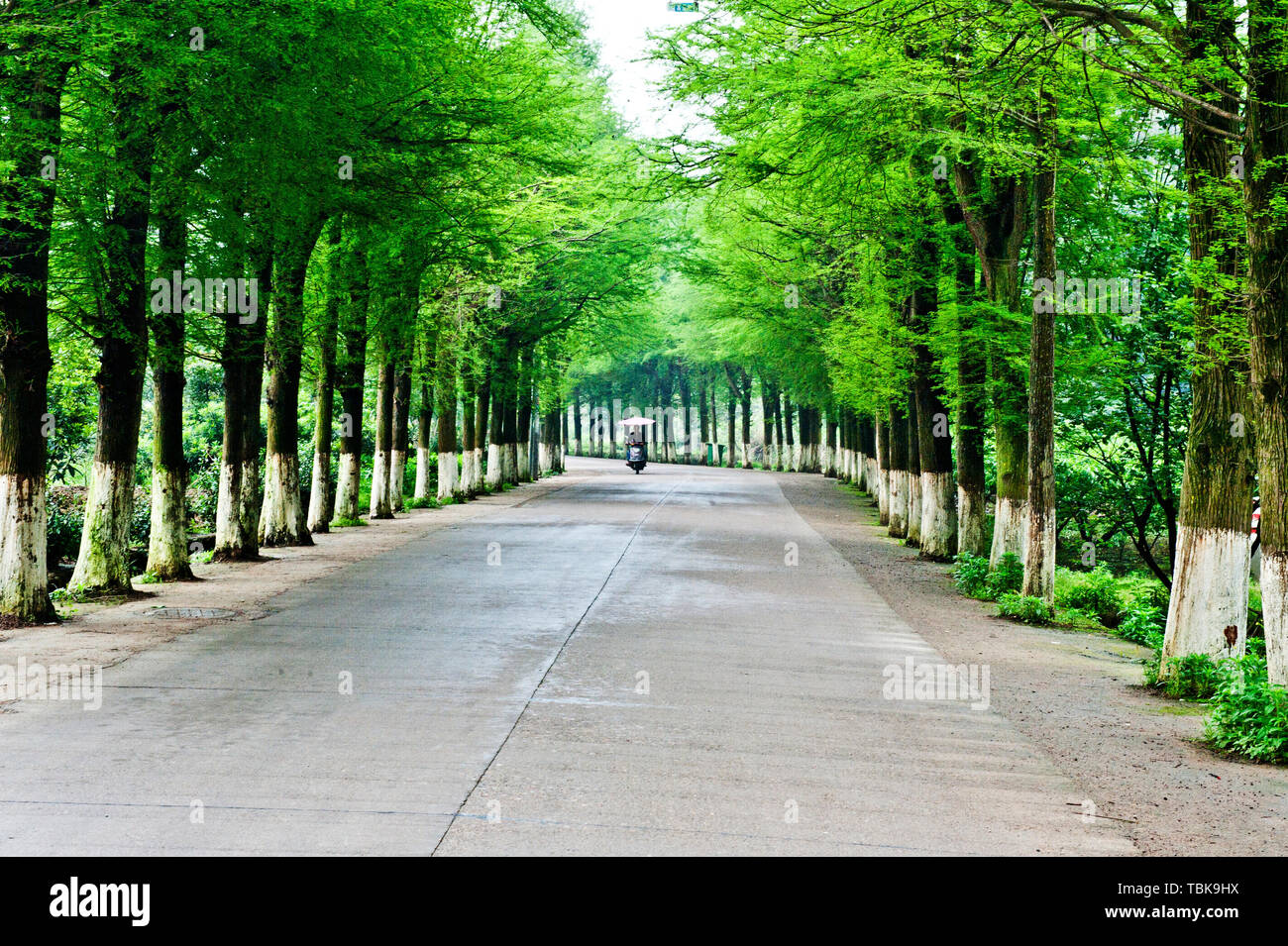 Unmanned highway and road hi-res stock photography and images - Alamy