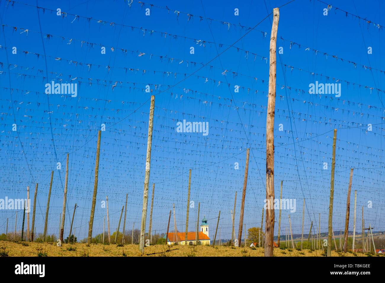 Lindkirchen hi-res stock photography and images - Alamy