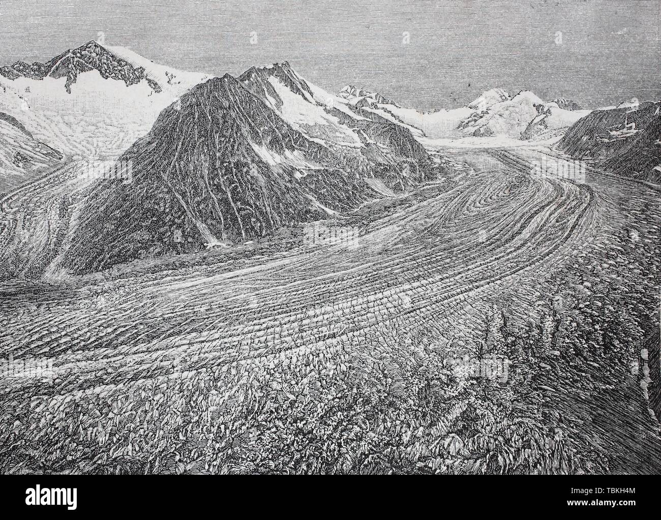 The Aletsch Glacier, Aletschgletscher, or Great Aletsch Glacier ...