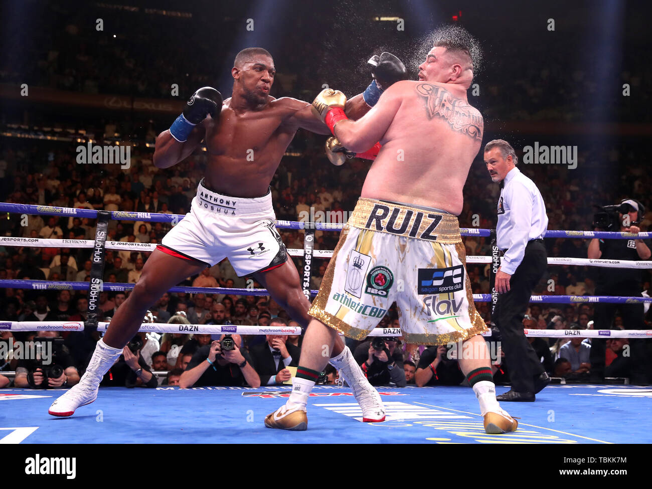 Ibo heavyweight world championships title fight madison square garden ...