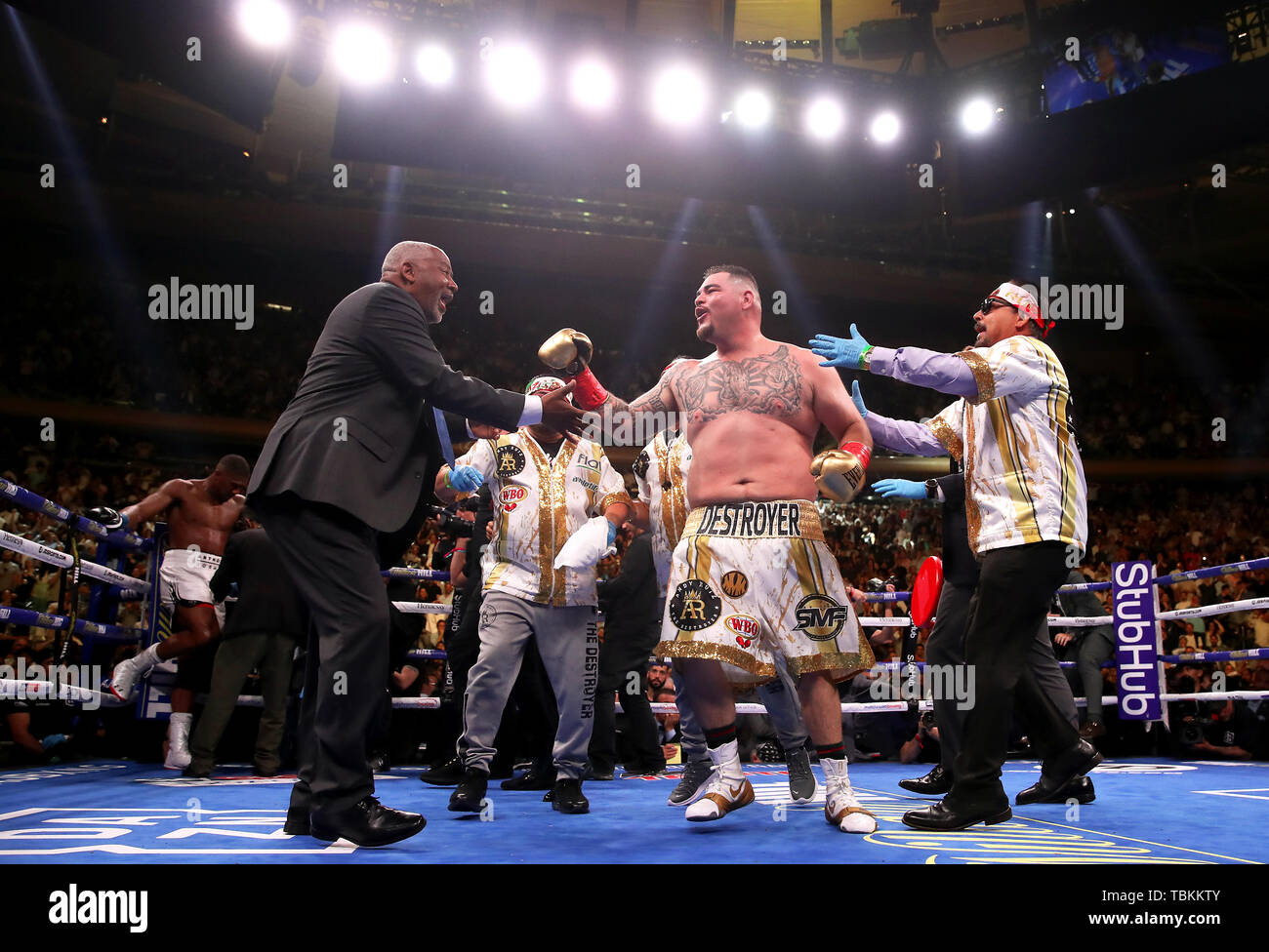 Ibo heavyweight world championships title fight madison square garden ...