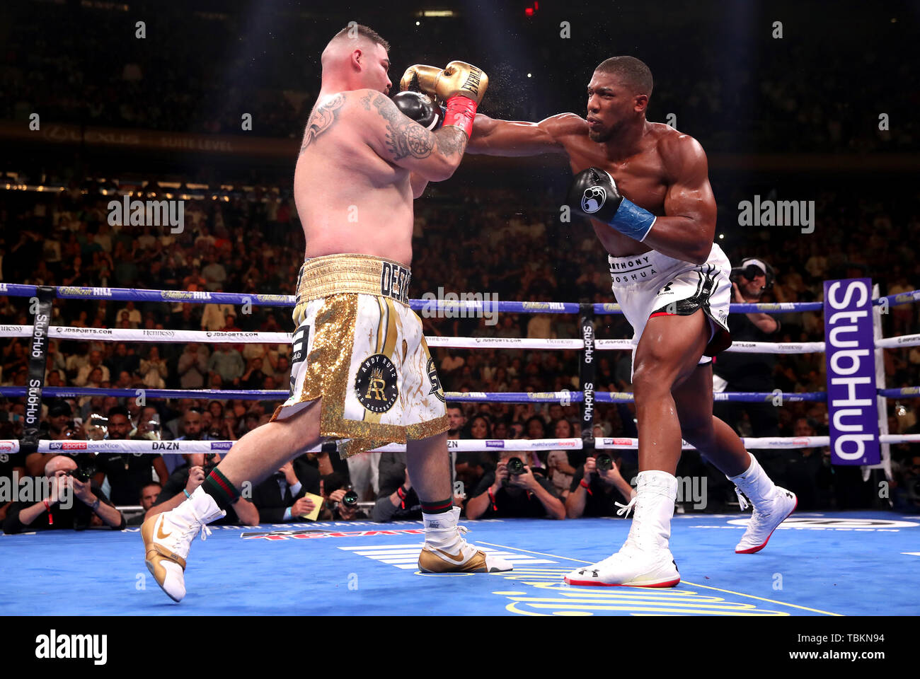 Ibo heavyweight world championships title fight madison square garden ...