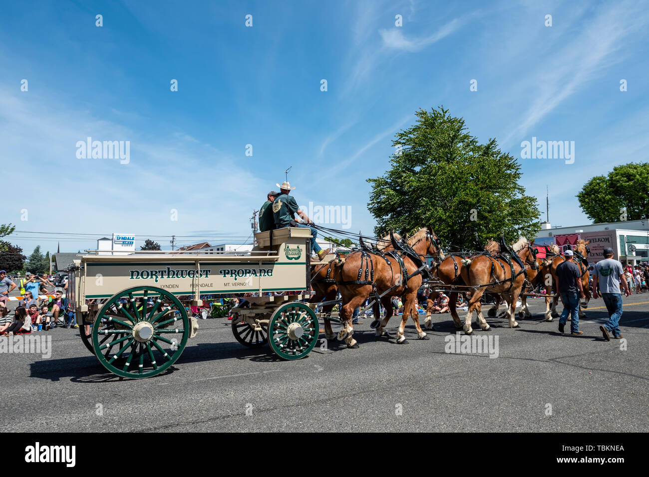 Horse drawn wagon from Northwest Propane Sales in the 2019 Lynden ...
