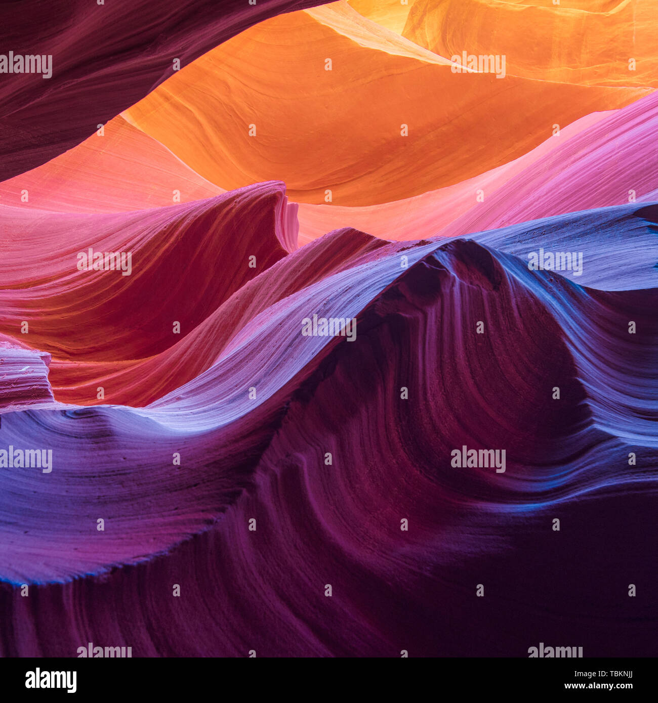 Antelope waves hi-res stock photography and images - Alamy