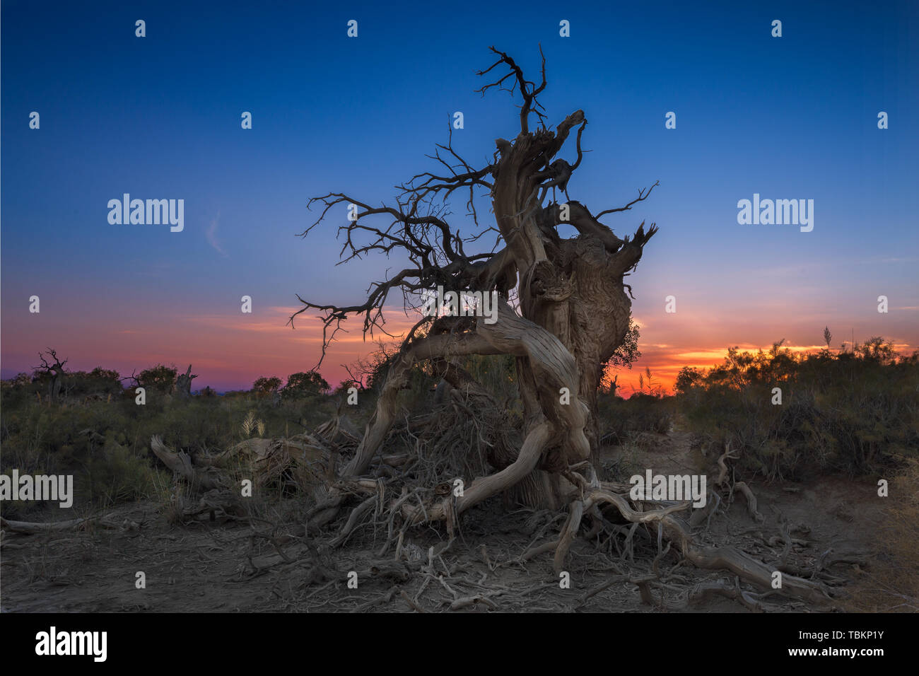 Yang carving hi-res stock photography and images - Alamy