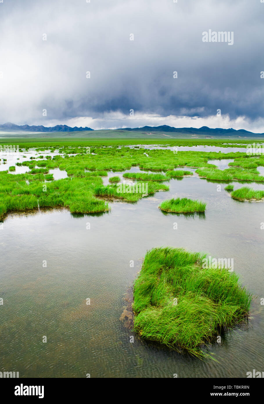Huahu Wetland Park, Sichuan Stock Photo - Alamy