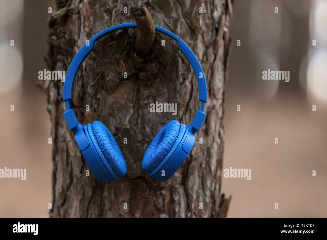Headphones hanging tree hi-res stock photography and images - Alamy