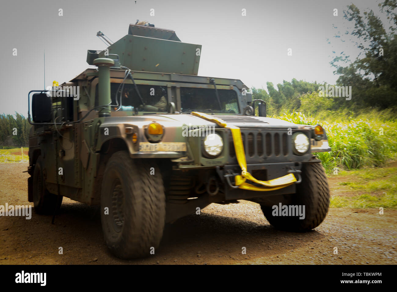 55th infantry division hi-res stock photography and images - Alamy