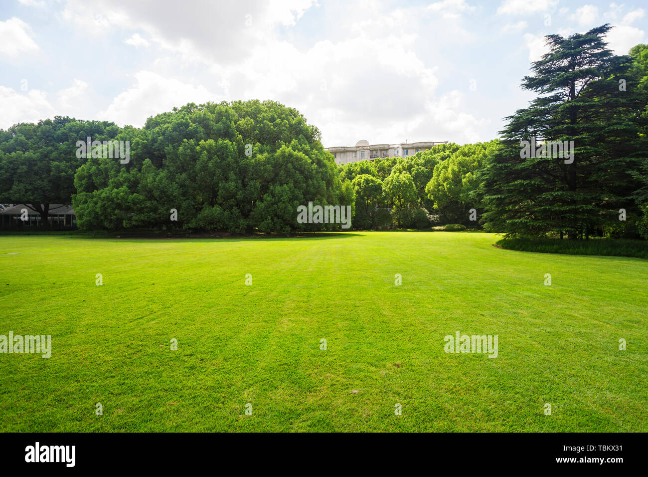 Grassland and Buildings Stock Photo - Alamy
