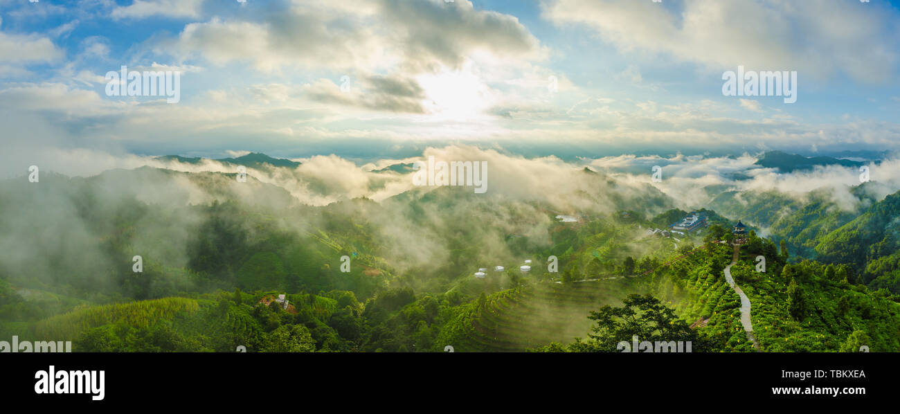 Tea mountain pyramid hi-res stock photography and images - Alamy