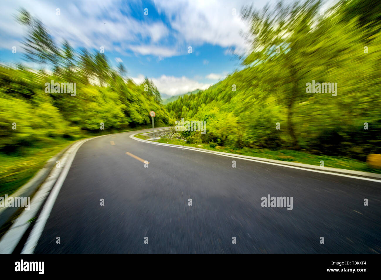 Forest road outdoor car background Stock Photo - Alamy