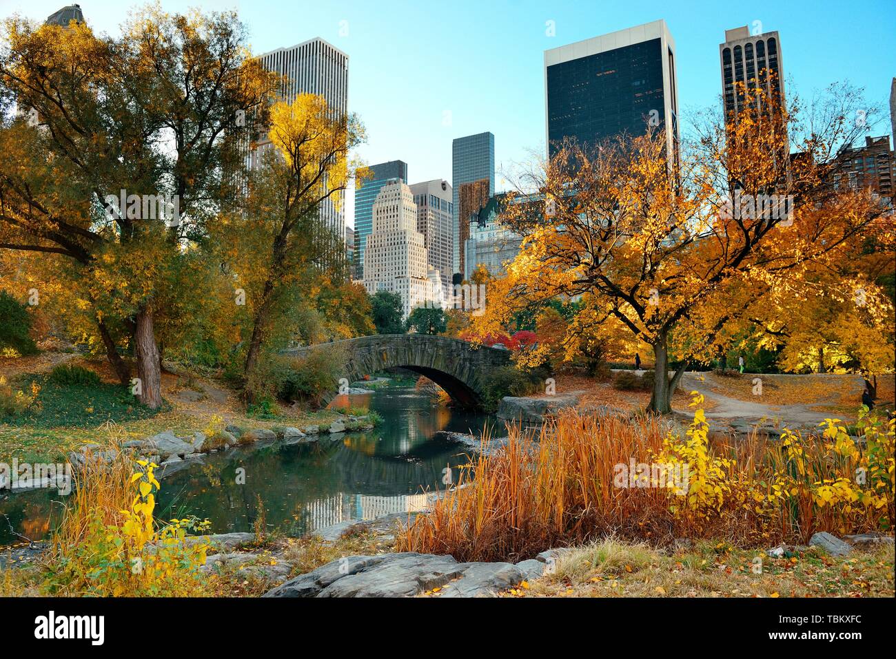 Central Park Autumn and buildings in midtown Manhattan New York City ...