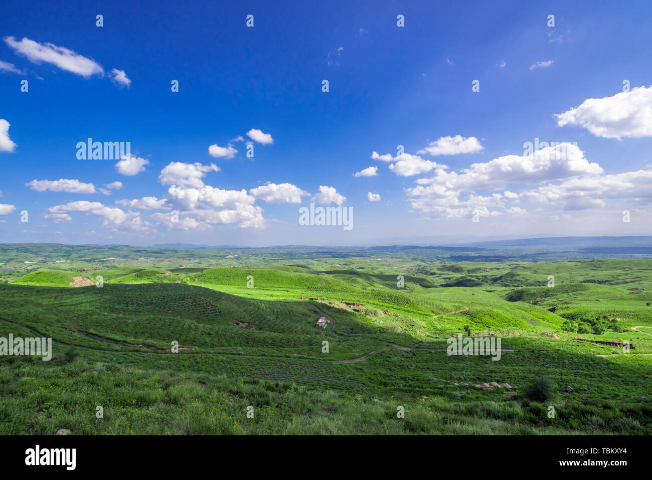 Landscape of Zhangbei Prairie Stock Photo - Alamy