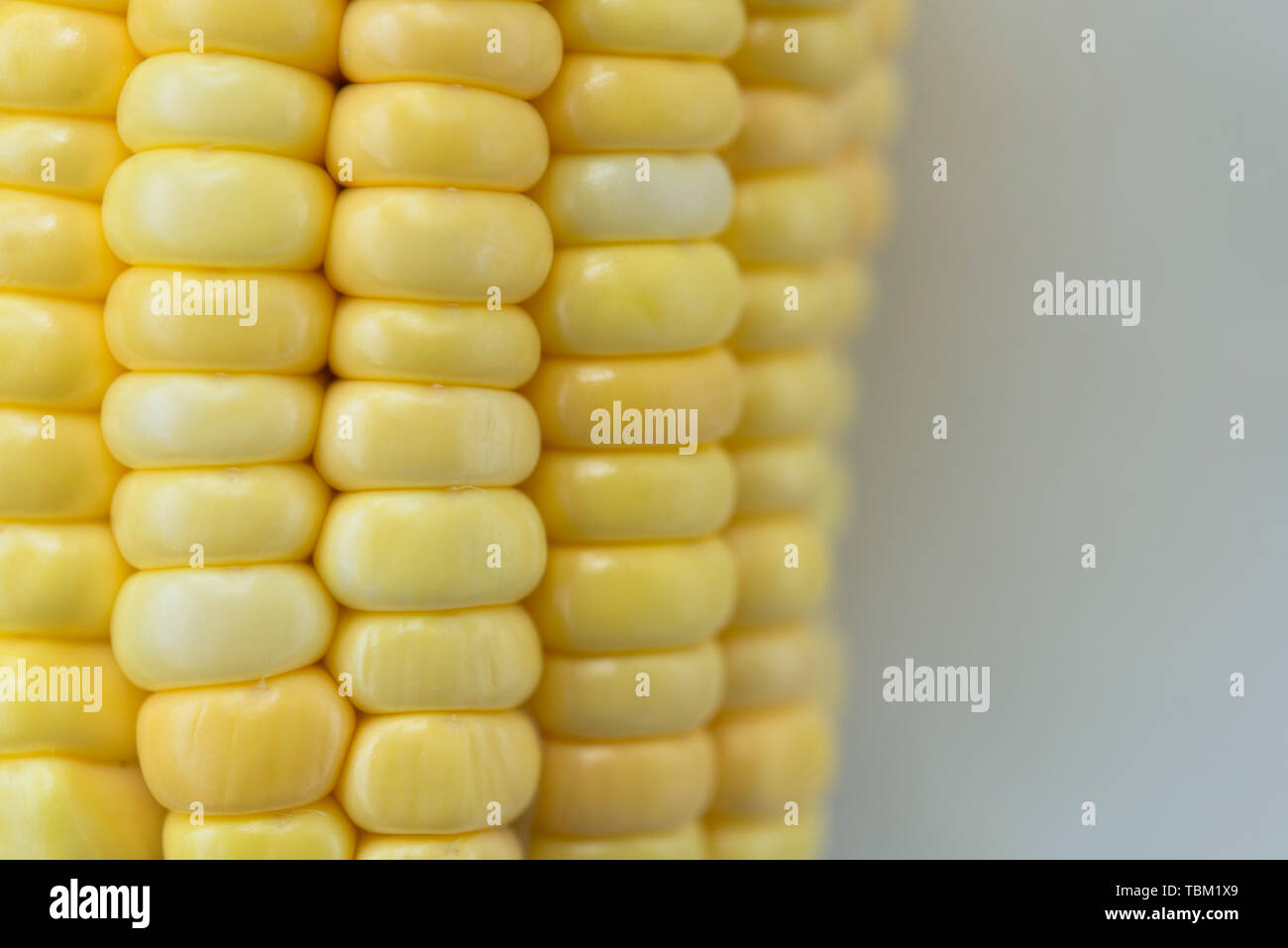Corn Cross Section High Resolution Stock Photography and Images - Alamy