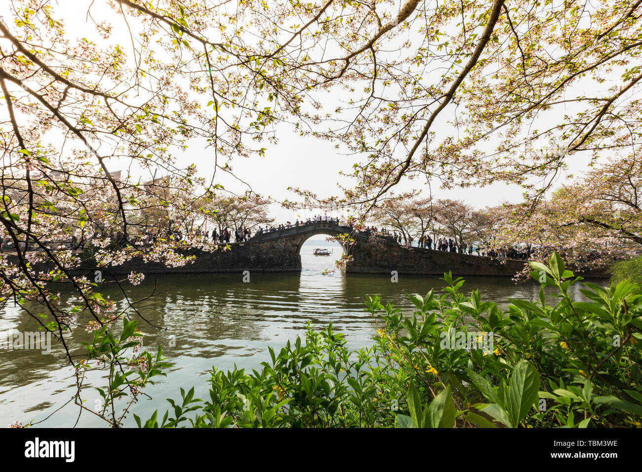 Planting more trees hi-res stock photography and images - Alamy