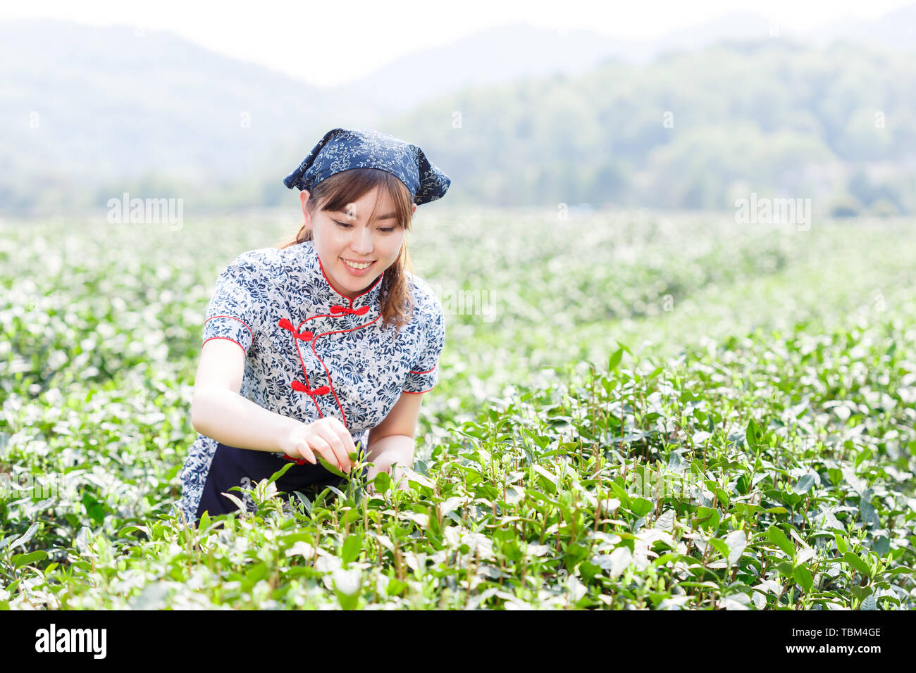 Beautiful Asian girl with tea Stock Photo - Alamy