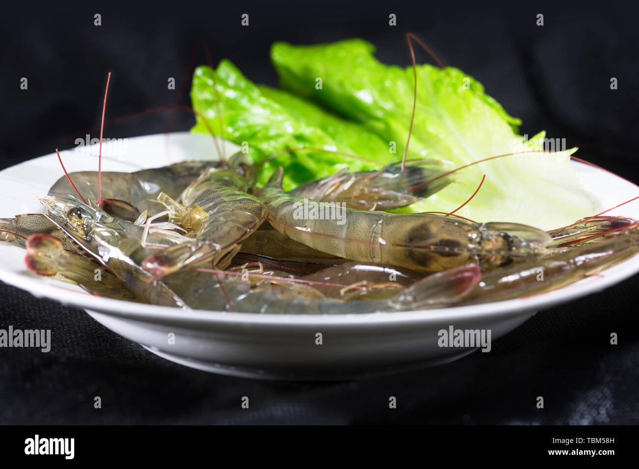 Roche shrimp hi-res stock photography and images - Alamy