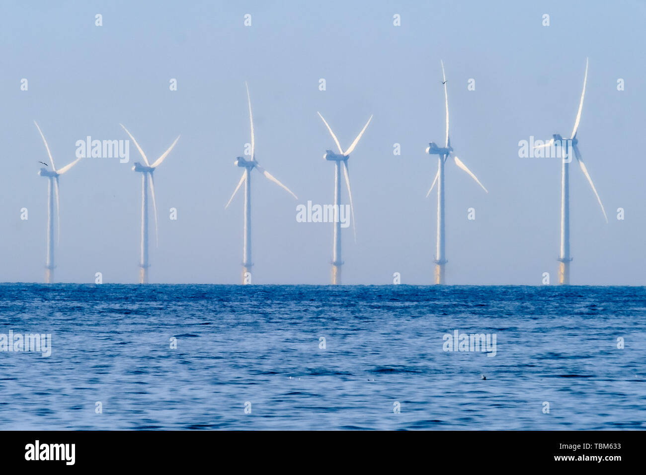 Rampion Wind Farm in the hazy morning sun on Sunday 2 June 2019 as ...