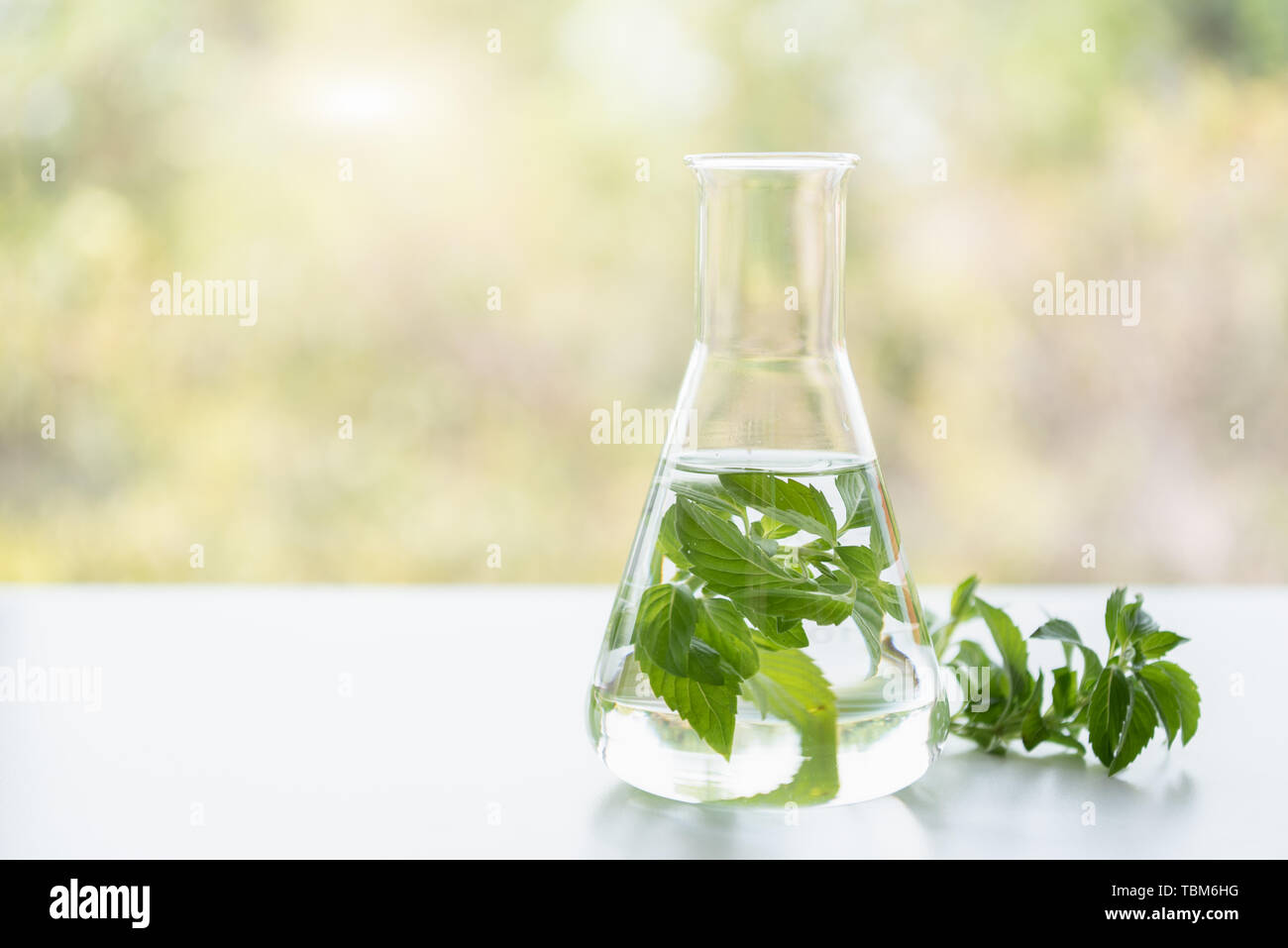 Peppermint spa treatments on white wooden table. Healthcare and body ...