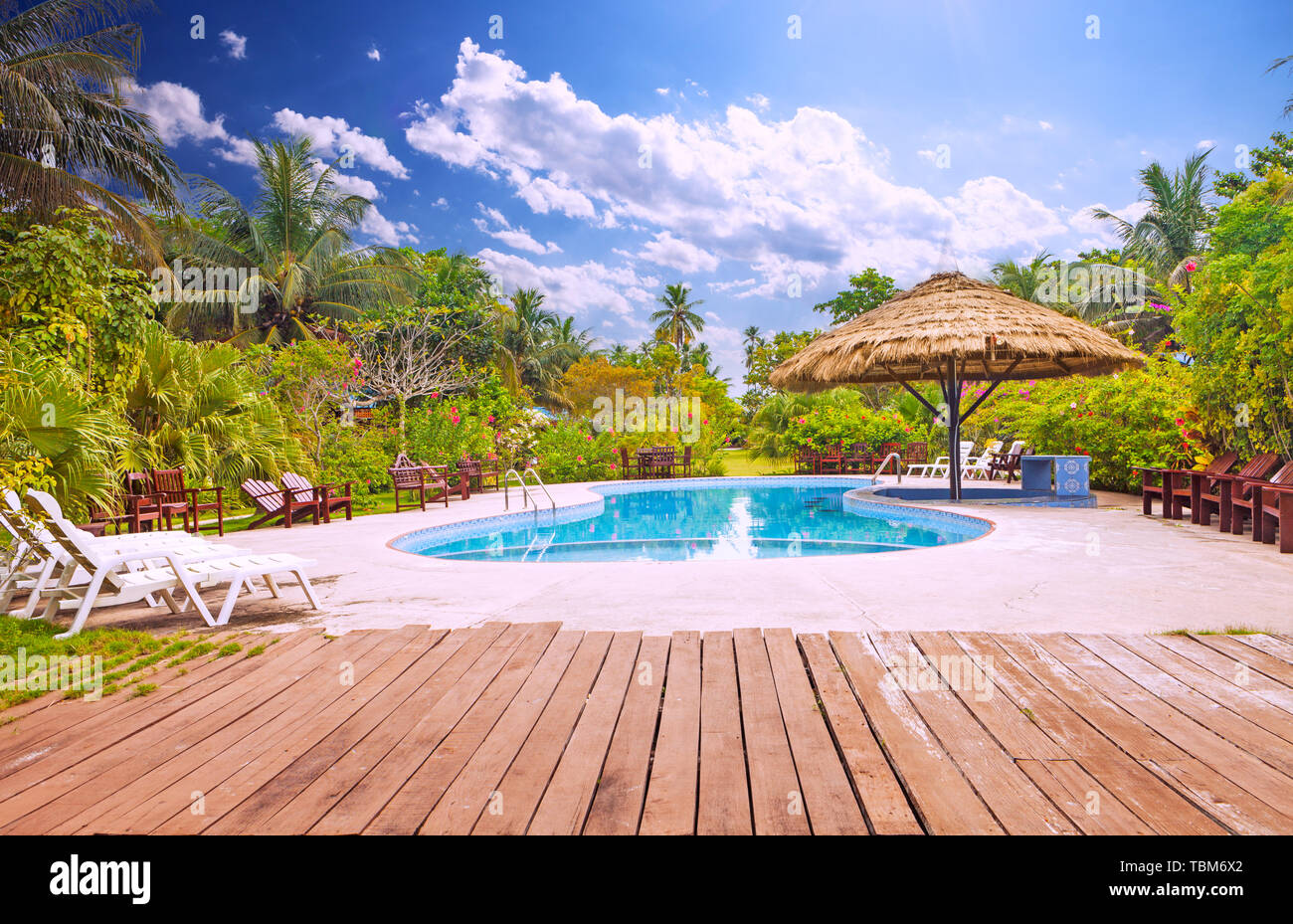 Resort swimming pool with empty plank board Stock Photo - Alamy