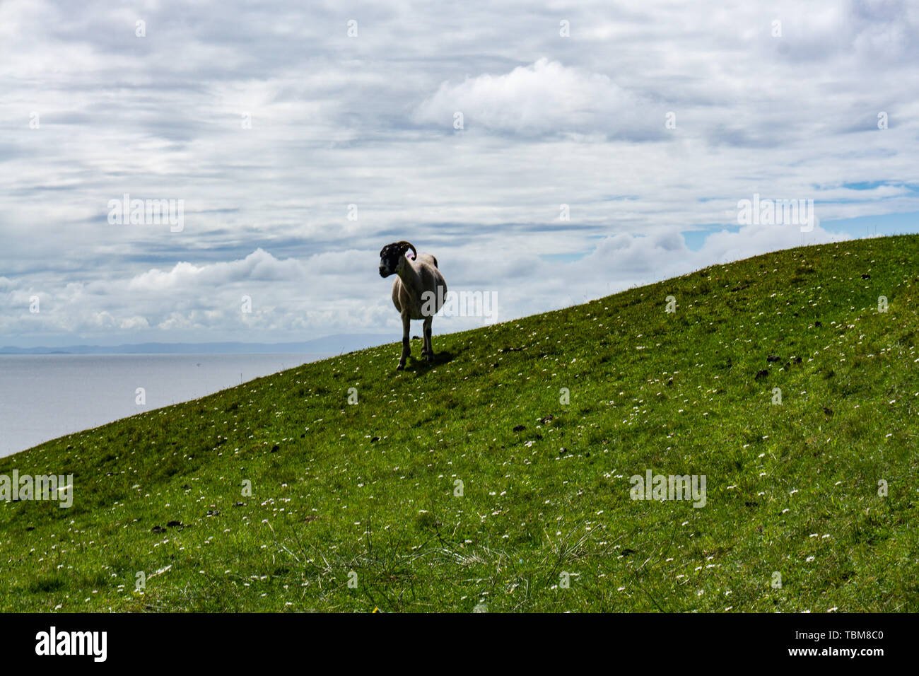 ocean cliffs in northern ireland Stock Photo - Alamy